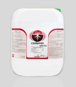 CODAMIN RADICULAR - Grupo TRISAN