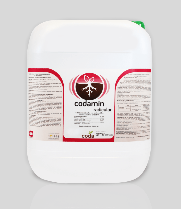 CODAMIN RADICULAR - Grupo TRISAN